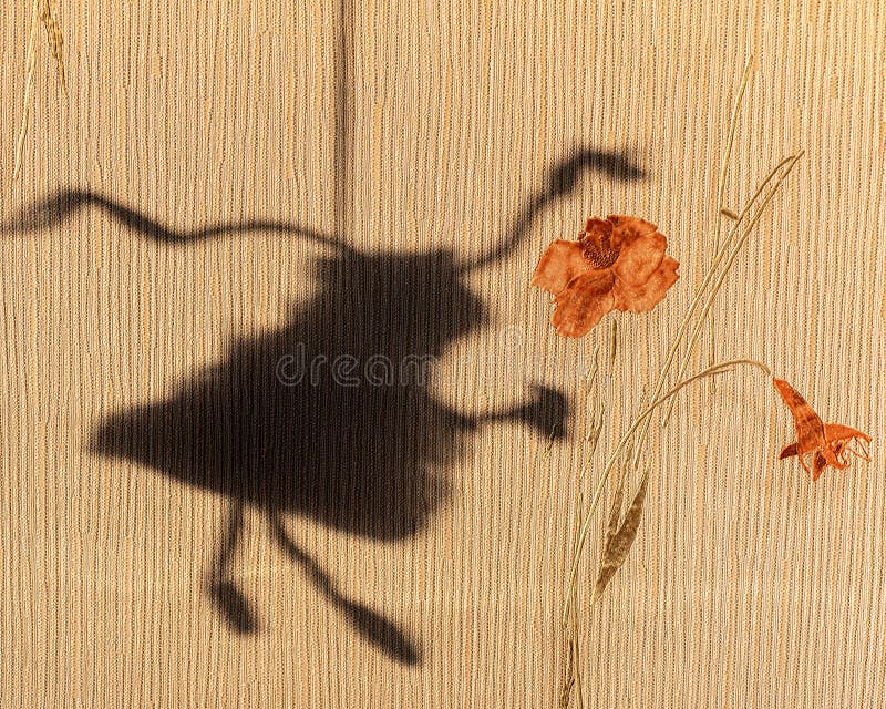 Shadow of an Abstract Figure on the Wall, Shadow Play Stock Image ...