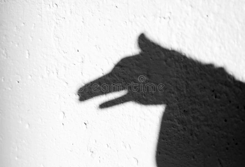 Shadow of animal stock photo. Image of fingers, contour - 17173972