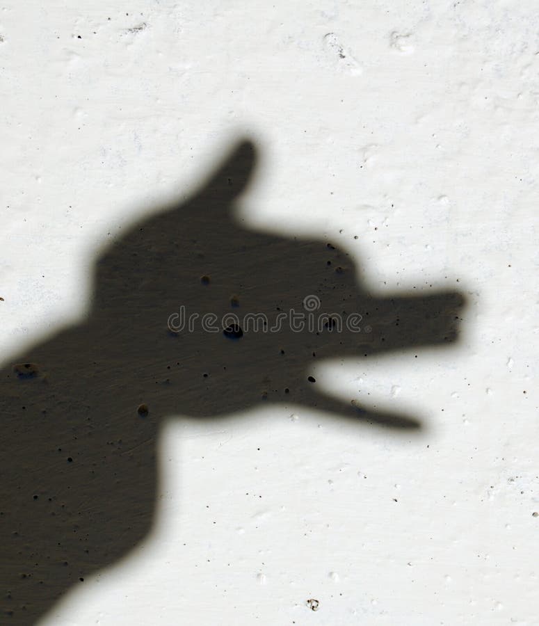 Shadow of animal stock image. Image of shape, pigeon, fingers - 3246045