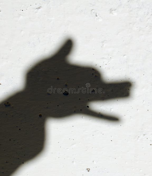 Shadow of animal stock image. Image of figure, volf, wall - 3245971