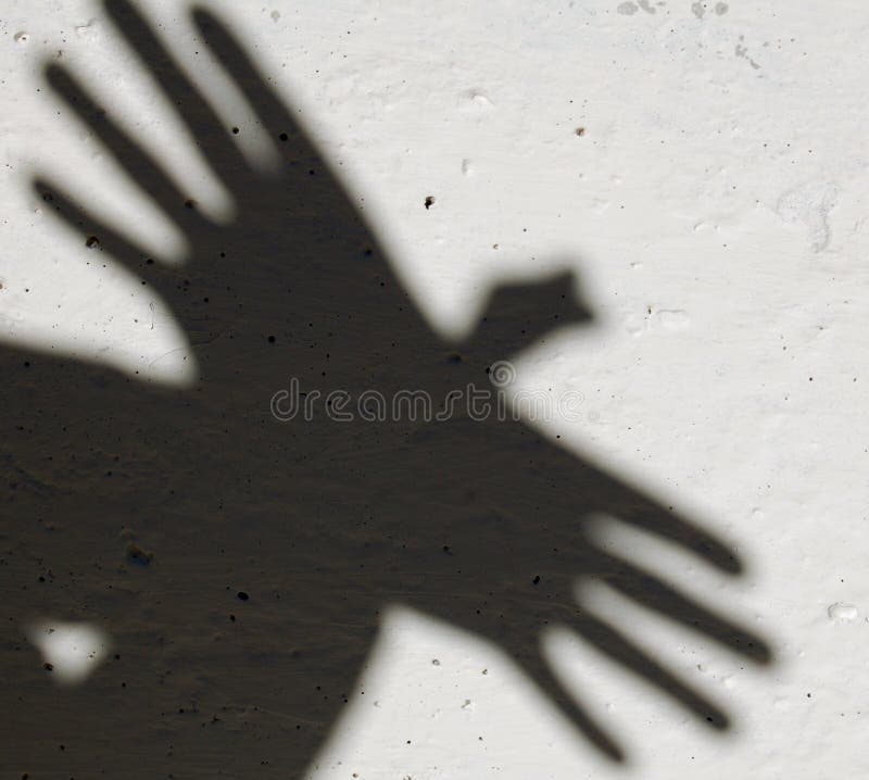 Shadow of animal stock image. Image of shape, pigeon, fingers - 3246045