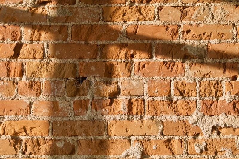 Shadow on the Brick Wall stock image. Image of outside - 119998833
