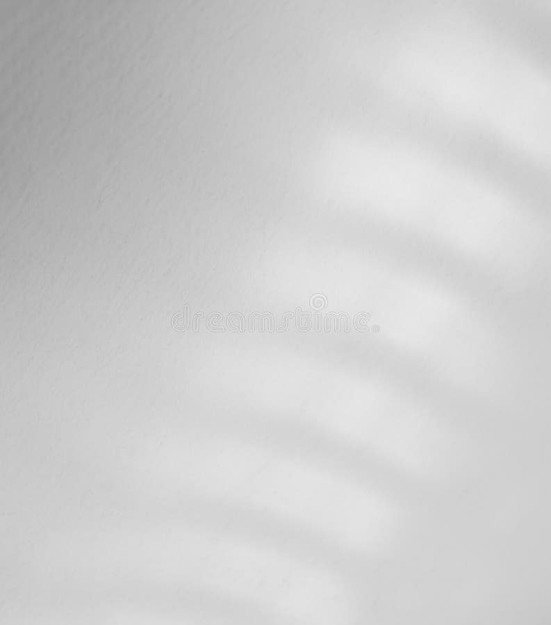 Shadow Background Abstract Leave Overlay Wall Floor Light Effect White ...
