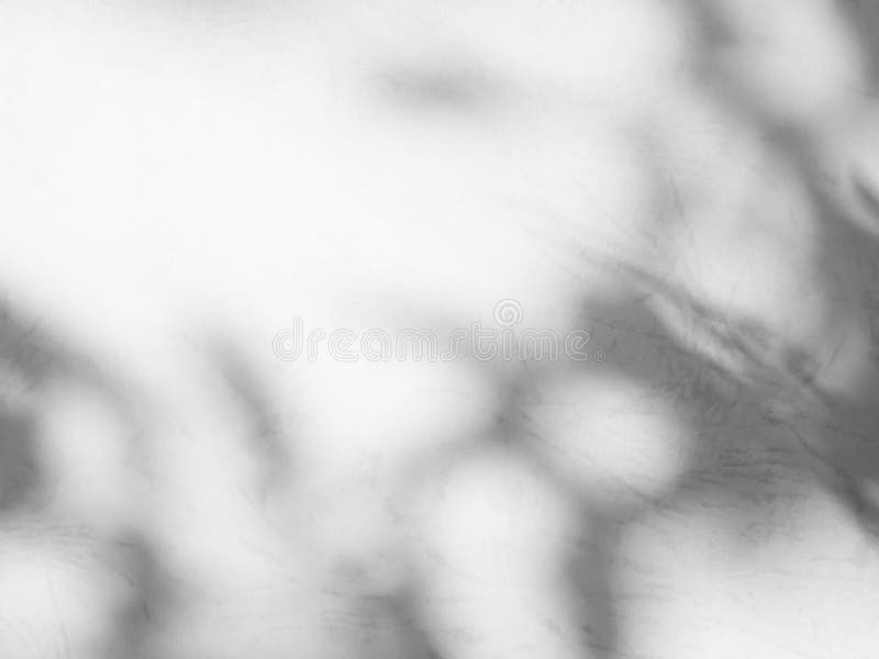 Shadow Background Effect Mockup Frame Abstract Technology Business ...