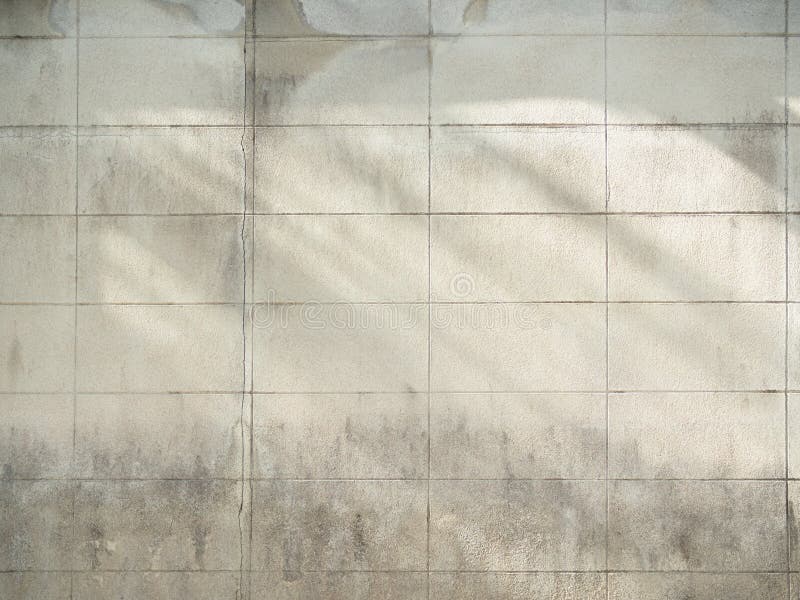 Shadow Background, Abstract White Light on Gray Wall Minimal Product ...