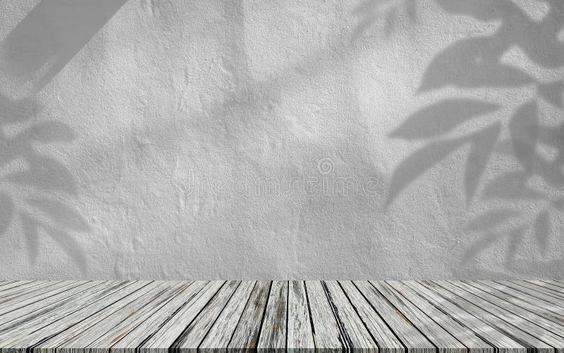 Shadow Background Studio Room Product Abstract Leaf on Wall Floor Light ...
