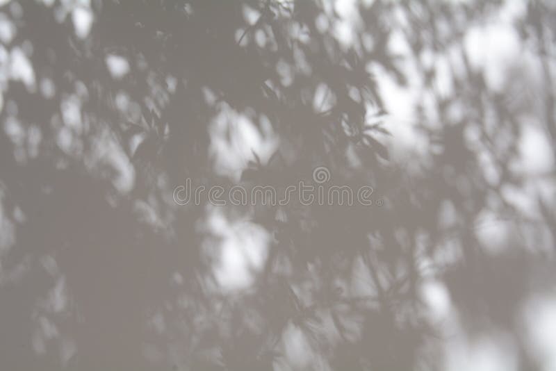 Shadow background stock image. Image of sculpture, europe - 53711209