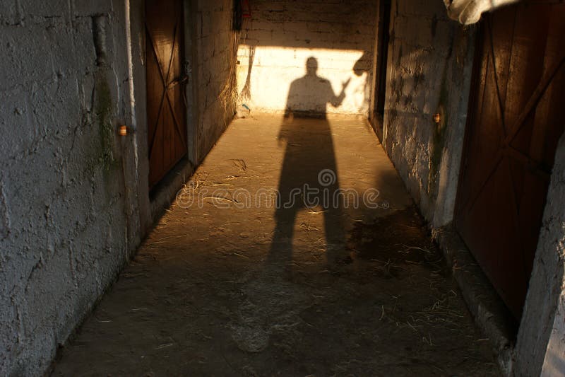 Shadow in the barn stock photo. Image of farm, figure - 8432896