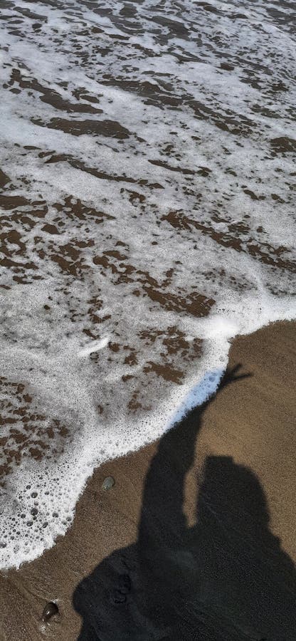 Shadow on the beach stock photo. Image of sand, winter - 262427950