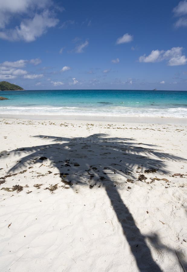 Shadow on the Beach stock photo. Image of sunshine, coconut - 4869414