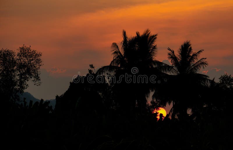 The Shadow Behind the Tree and the Sky, the Evening Sunset Stock Image ...