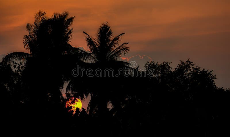 The Shadow Behind the Tree and the Sky, the Evening Sunset Stock Image ...
