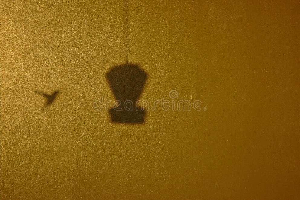 Shadow of a Bird Flying Free Out of the Cage Stock Photo - Image of ...