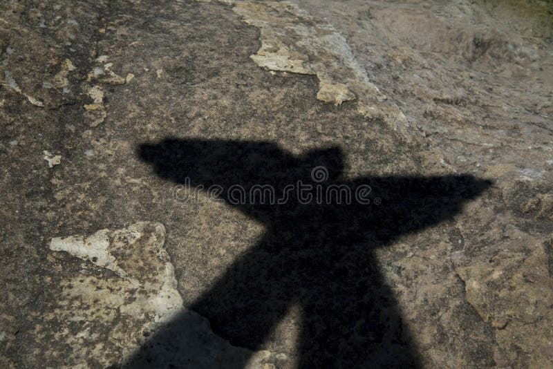 The shadow of a bird stock photo. Image of creative, dove - 97073662