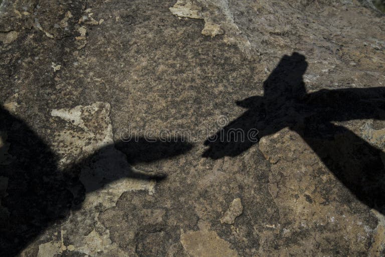 Hand Fox Shadow Stock Photos - Free & Royalty-Free Stock Photos from ...