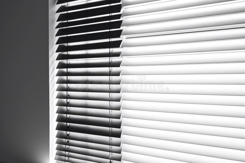 The Shadow from the Blinds of the Window on a White Wall in Sunny ...