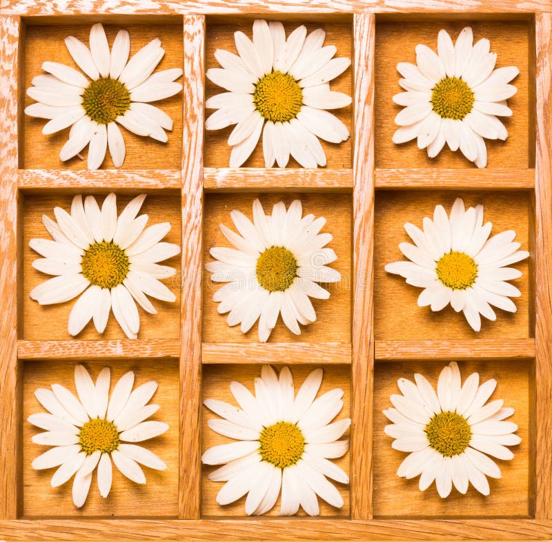Shadow Box with Collection of Rocks Stock Image - Image of pebble ...