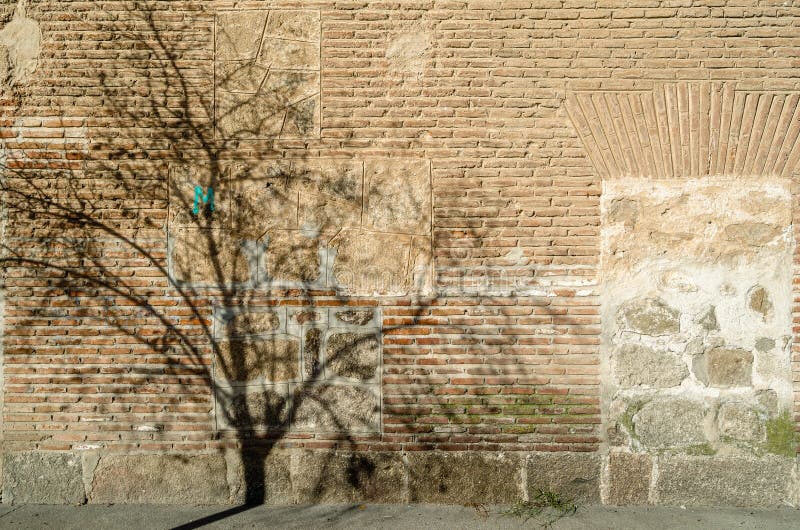 Shadow of Branches on a Building Facade Stock Image - Image of ...