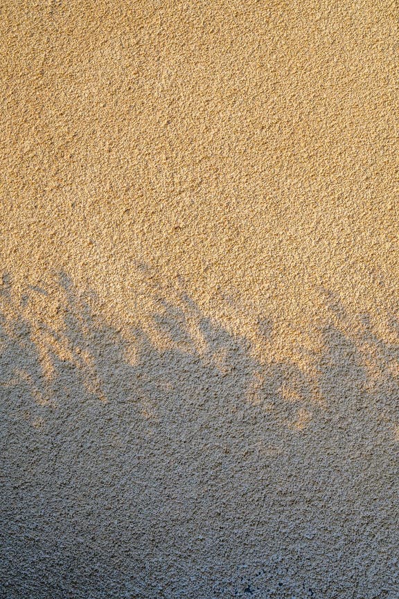 Shadow from Branches on Decorative Plaster on an Old House Wall Stock ...