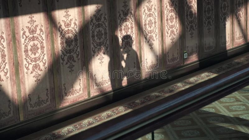 Shadow of a Bride and Groom Kissing Stock Video - Video of groom ...