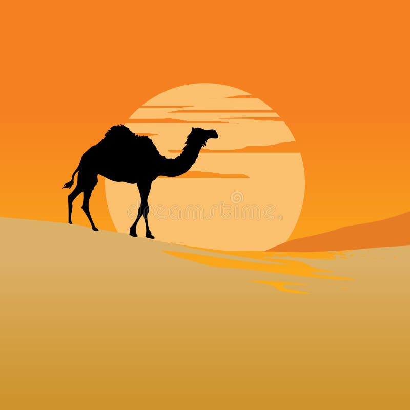Shadow of a Camel on the Horizon Stock Vector - Illustration of person ...