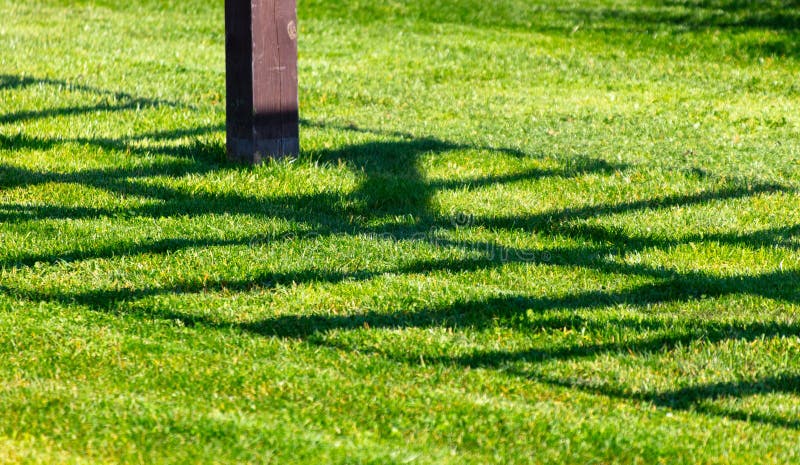 The Shadow of the Canopy on the Green Lawn As a Background Stock Image ...