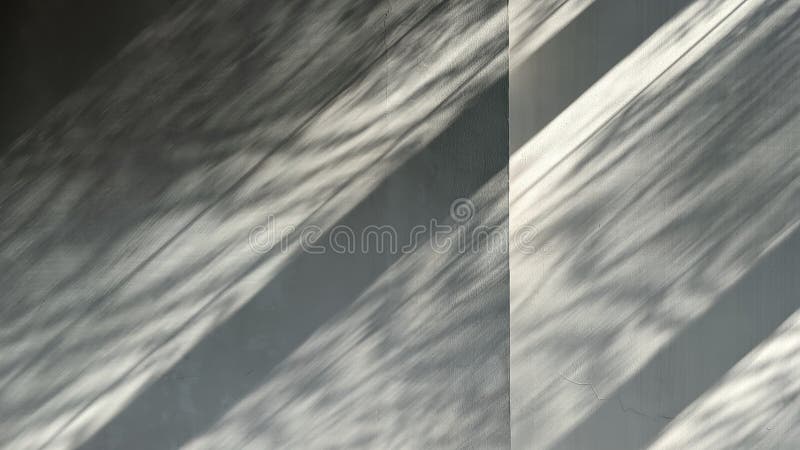 The Shadow of a Canopy on the Wall. the Shadow Looks Clear and Has an ...