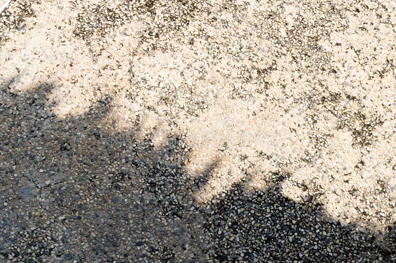 Shadow Patterns on Pavement in Thailand with Palm Background Elements ...