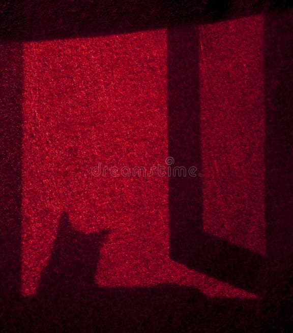 Shadow of cat stock photo. Image of life, still, shadow - 28241898