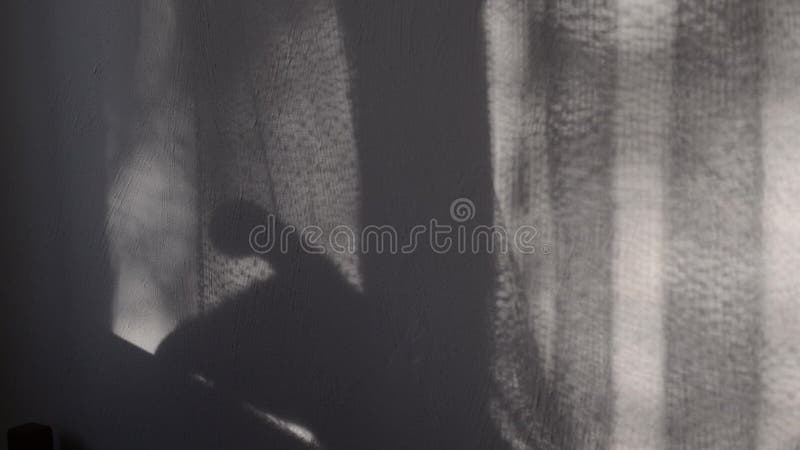 Shadow of Cat Jumping from Windowsill. Abstract Silhouette Shadow of ...