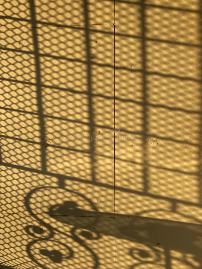 The Delicate Interplay of Light and Shadow Forms a Subtle, Artistic ...