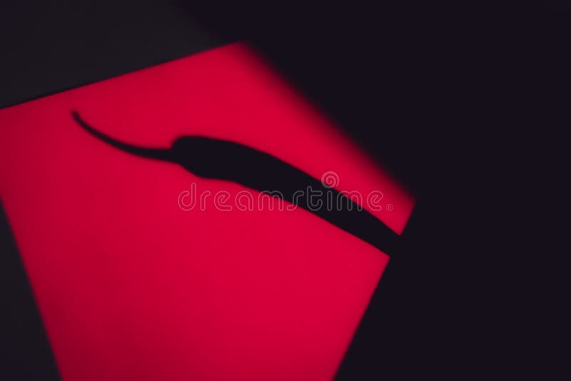 Shadow of a Chilli in the Light Stock Image - Image of eatery, black ...