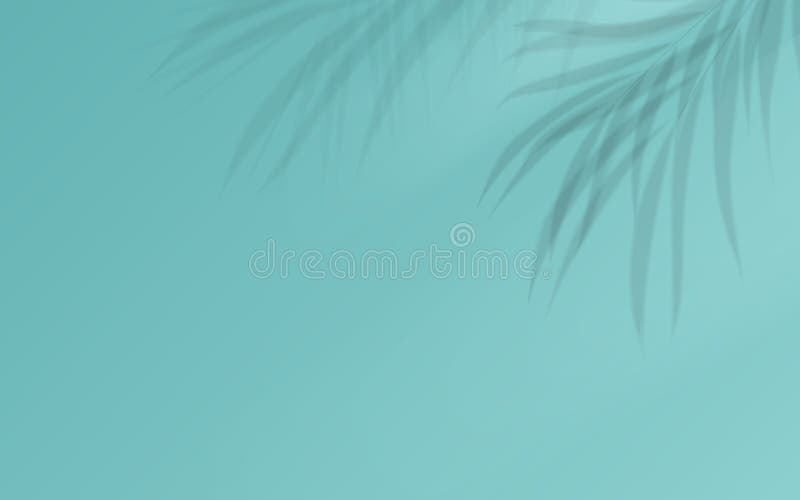 Coconut Leaf stock illustration. Illustration of yoga - 74514577 Coconut Leaf stock illustration. Illustration of yoga - 74514577