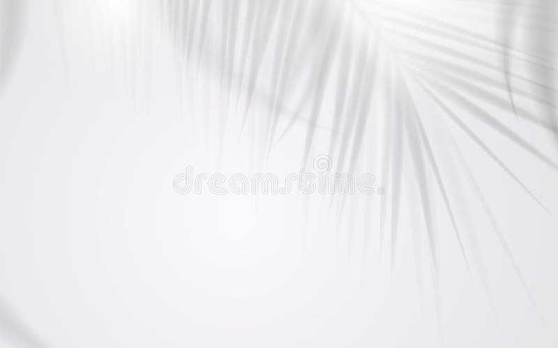 Coconut leaf stock vector. Illustration of vector, love - 28722098 Coconut leaf stock vector. Illustration of vector, love - 28722098