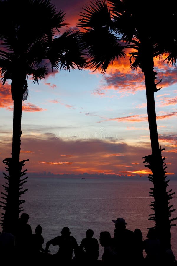 The Shadow of Coconut Trees Stock Image - Image of natural, leisure ...