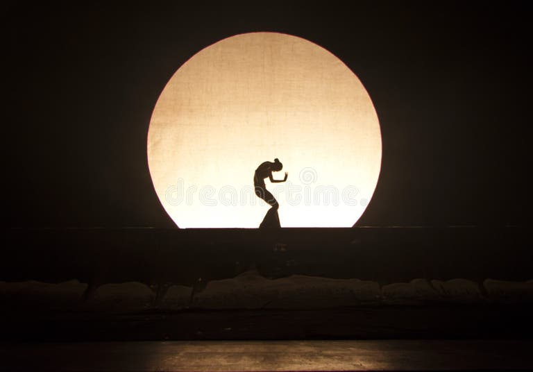 Shadow Dance editorial photo. Image of performer, beautiful - 22562801