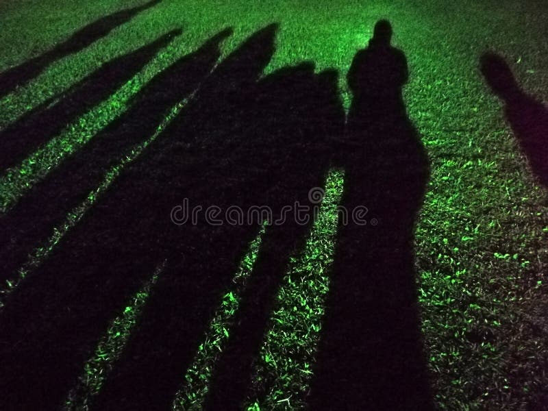 The Shadow of Many People on the Green Lawn at Night, People Shadows ...
