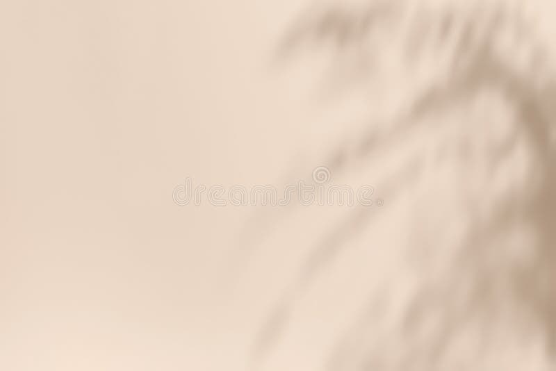 Shadow of Delicate Grass Leaves on Solid Beige Wall Texture Background ...