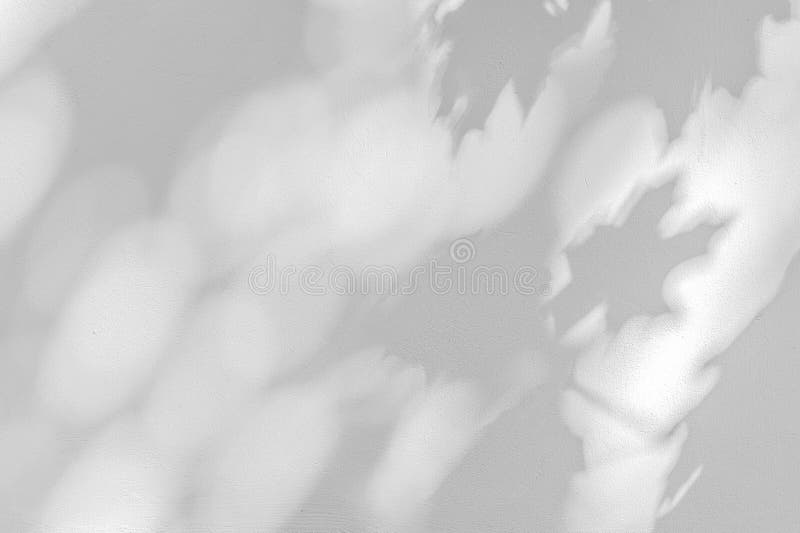 Shadow from Dense Foliage of Maple Tree on Wall, Light Shadow from ...