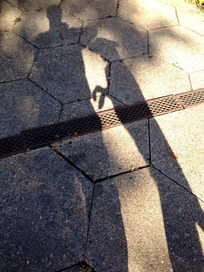 Shadow dog stock image. Image of border, shadow, collie - 43994889