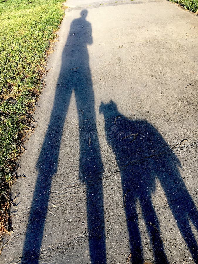 Two Shadow, Dog and Man on a Walk Stock Image - Image of shadows, walk ...