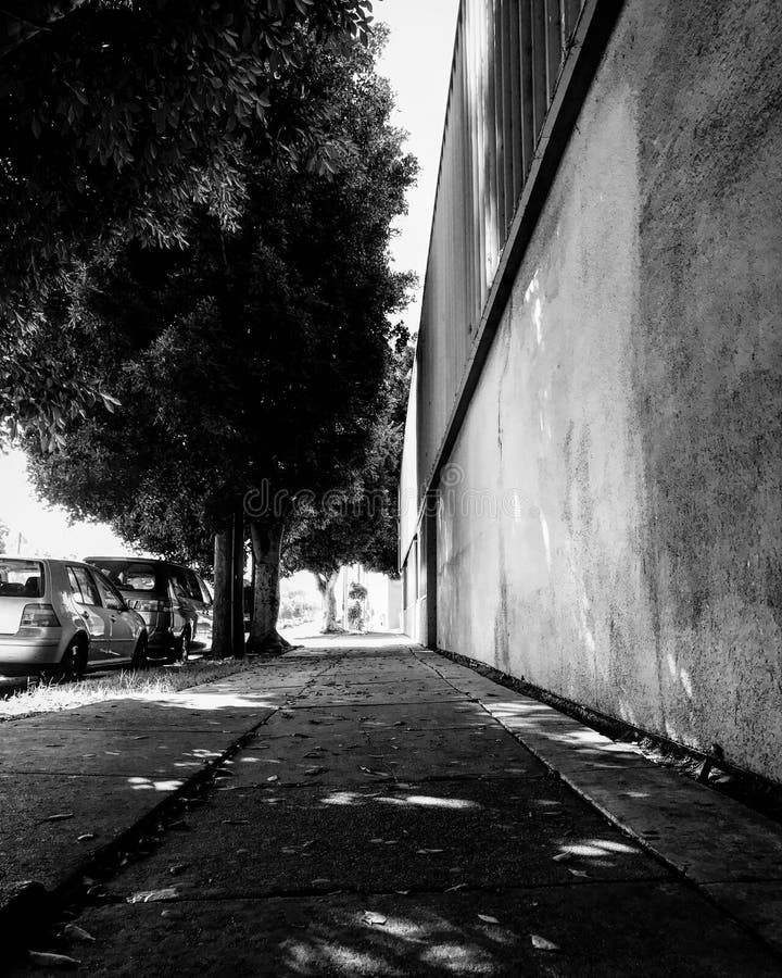In the shadow stock photo. Image of street, blackandwhite - 98454876