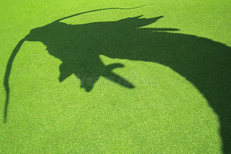 Shadow of a dragon stock photo. Image of dragon, lawn - 193446744