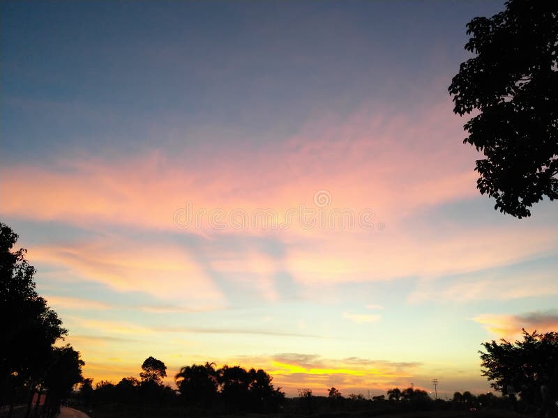 Shadow stock image. Image of shadow, tree, dusk, orange - 147965319