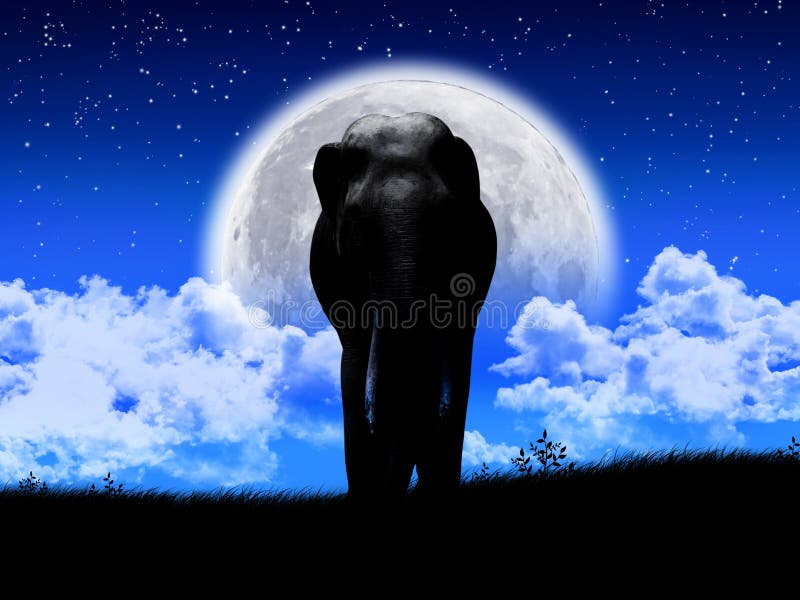 3,594 Elephant Night Stock Photos - Free & Royalty-Free Stock Photos ...
