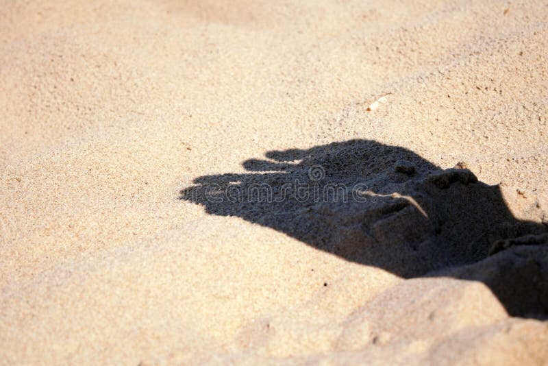 Shadow Feet Of The Little Girl Behind Frosted Glass Stock Photo - Image ...