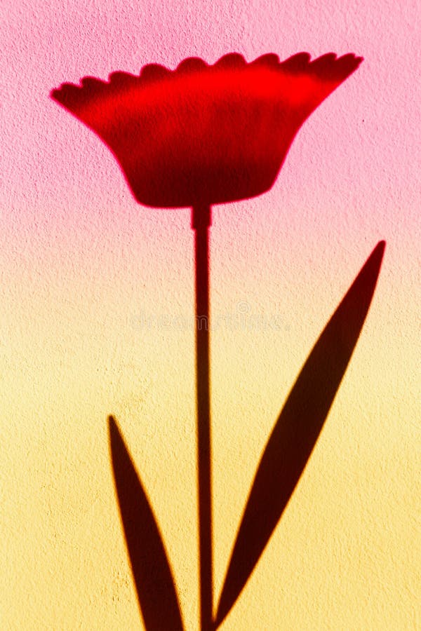 Shadow of the flower stock image. Image of love, nurture - 81487327