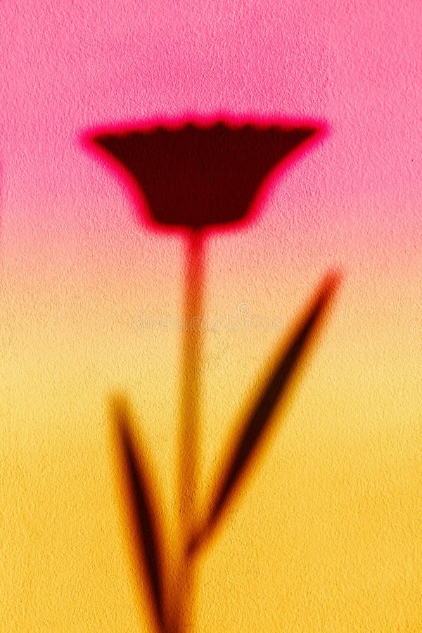 Shadow of the flower stock image. Image of concept, present - 81493543