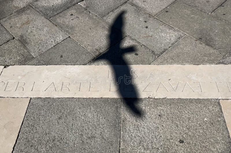 The Shadow of a Flying Bird on the Pavement Stock Photo - Image of bird ...