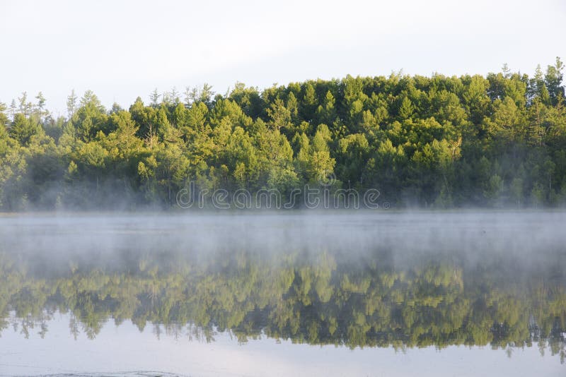Shadow and fog stock image. Image of asia, tree, skypool - 43354899
